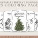 The Names of Jesus Advent Coloring Book, Christmas Countdown Family ...