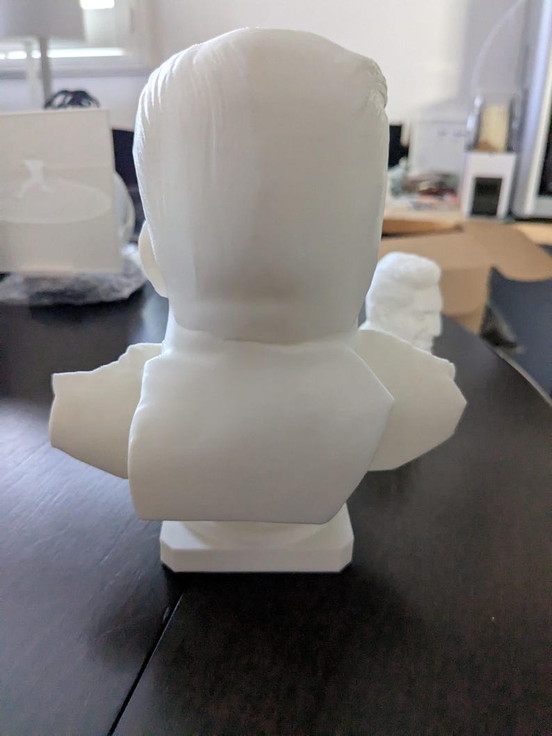 Official Comedian Brian Holtzman 3D Printed White Bust 7" Tall - Etsy