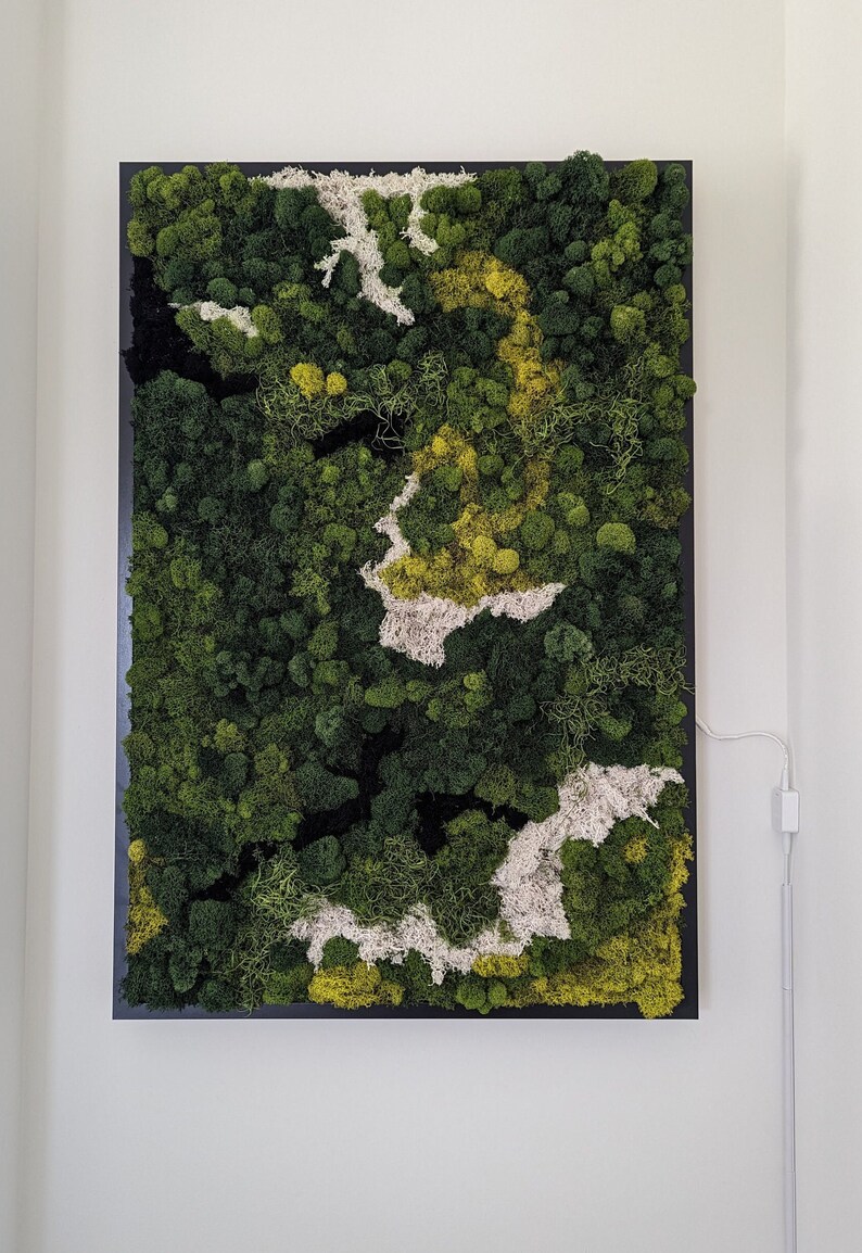 Moss Wall Art - Etsy