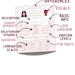 Character Relationship Sheet, Digital or Printable Character ...