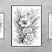 50 Tropical Flowers Coloring Pages,beautiful Illustrations, Flower ...