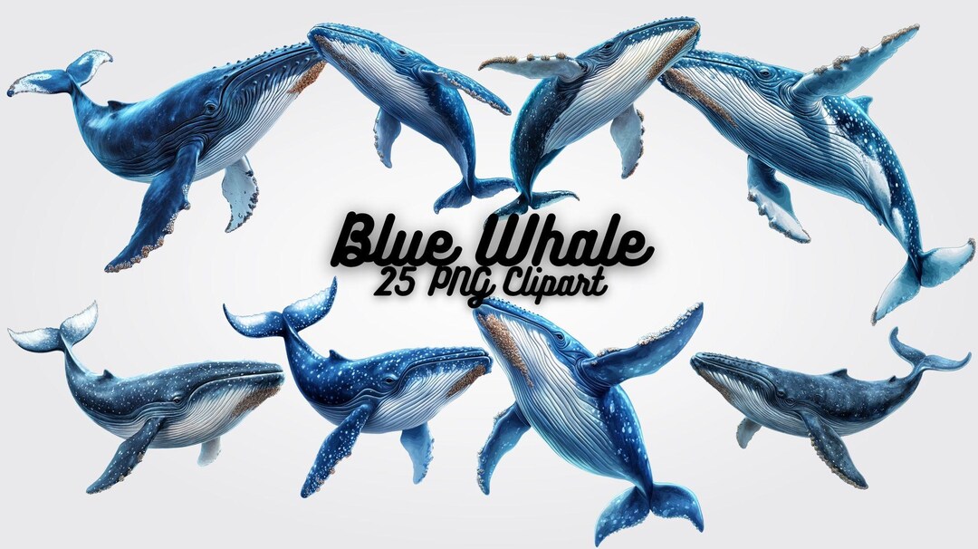 Blue Whale Clipart PNG: Watercolor Ocean Animal Graphics (digital ...