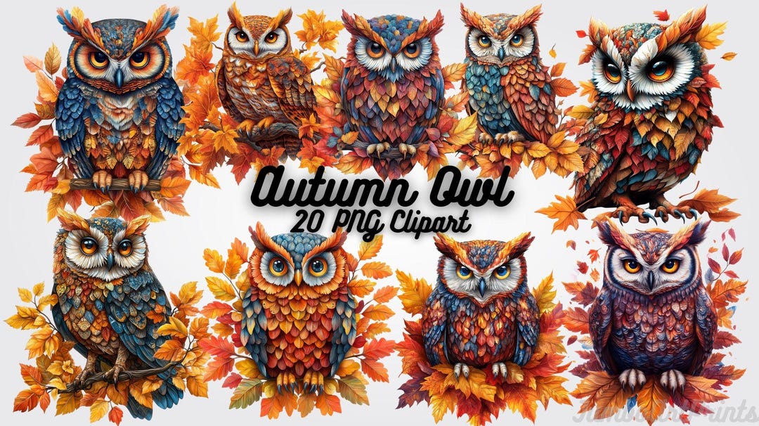 Autumn Owl Clipart: Fall Leaves Pngs for Thanksgiving (digital Download ...