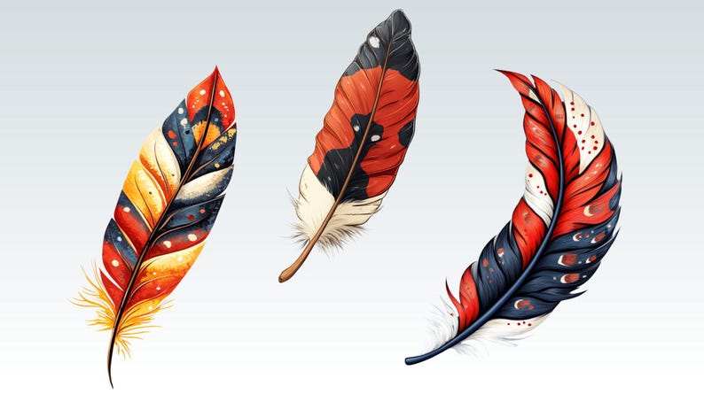 Native Feather Clipart: 45 Striking PNG Images (commercial Use) - Etsy