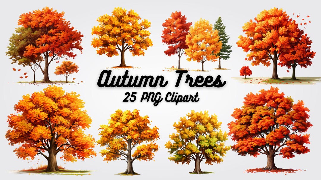 25 Autumn Trees Clipart, High-quality PNG Images ,perfect for Fall ...