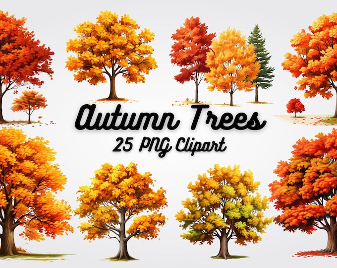 25 Autumn Trees Clipart, High-quality PNG Images ,perfect for Fall ...