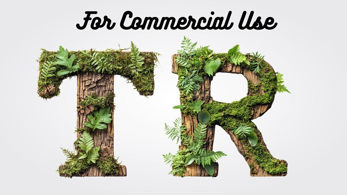 Rustic Wood Alphabet Clipart: 26 PNG Letter Graphics (digital Designs ...