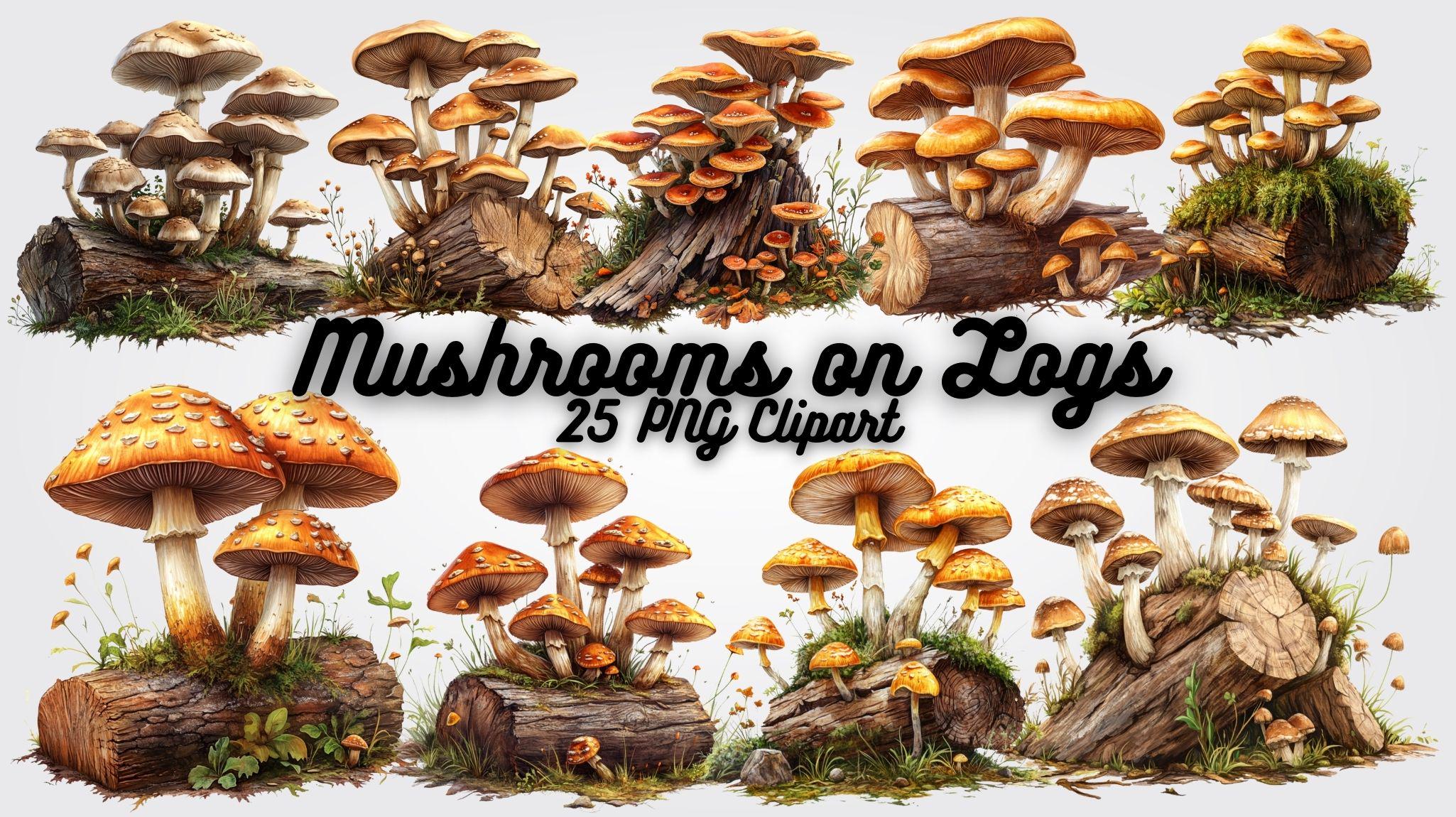 Mushroom Clipart PNG, Woodland Forest Digital Download, Mushrooms on ...