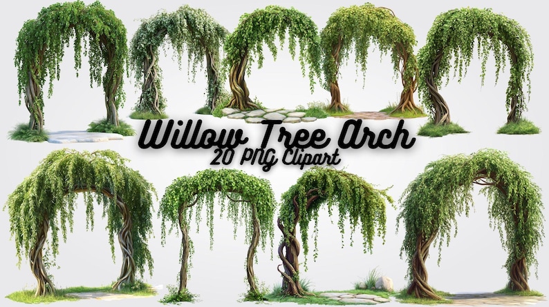 Willow Tree Arch Clipart PNG, Watercolor Greenery Clipart, Rustic ...