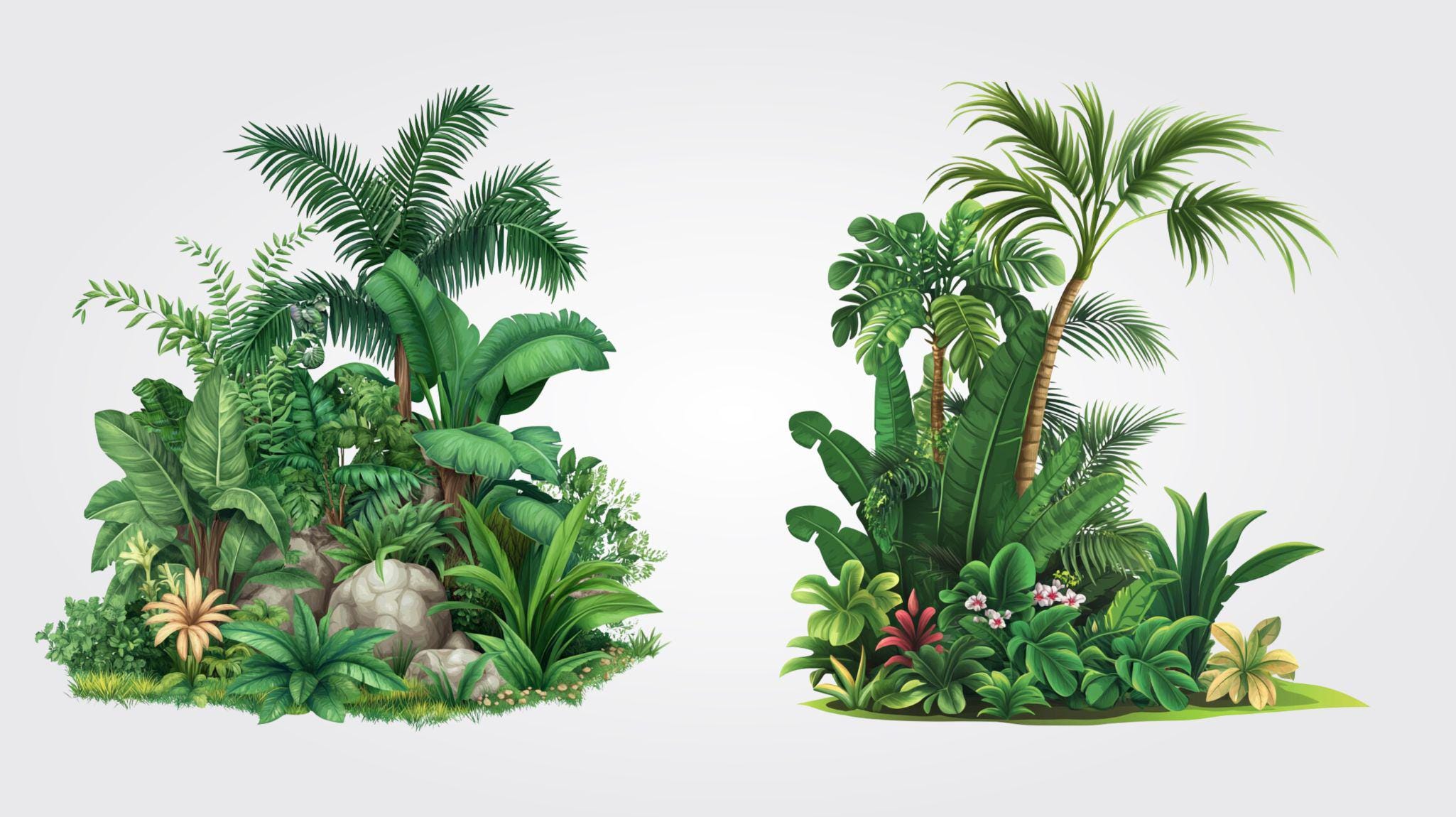 25 Jungle Plants Clipart, Plants PNG Clipart, Leaves Jungle PNG ...
