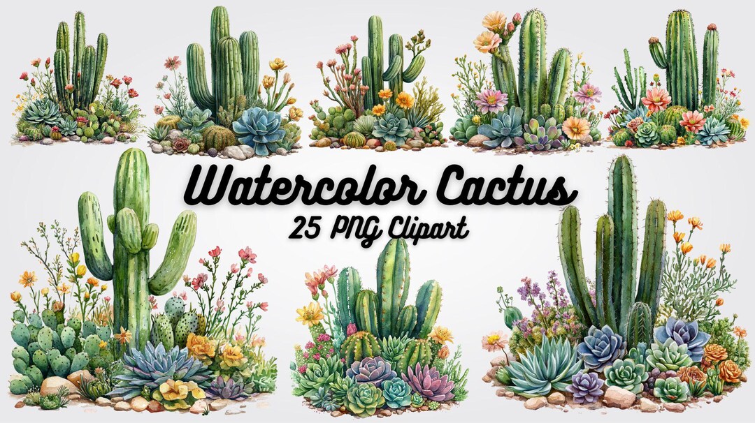 Watercolor Cactus Clipart: Floral PNG Images (digital Download) - Etsy
