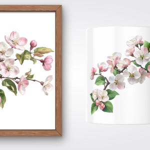 Apple Blossom Branch Clipart: Spring Floral PNG, Watercolor Flowers ...