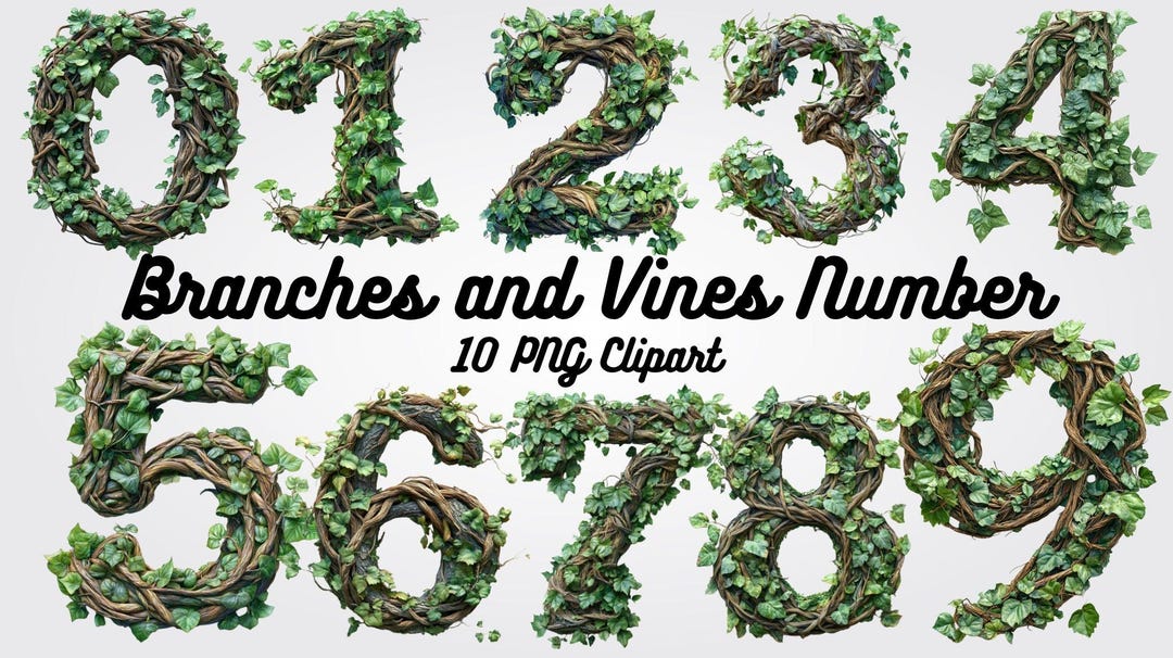Botanical Number Clipart PNG: Branches and Vines (digital Download) - Etsy