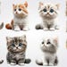 Kitten Clipart, Cute Cat PNG, Fluffy Kitten Illustration, High-quality ...