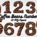 Coffee Bean Number Clipart: 12x12 PNG, Coffee-themed Designs (digital ...