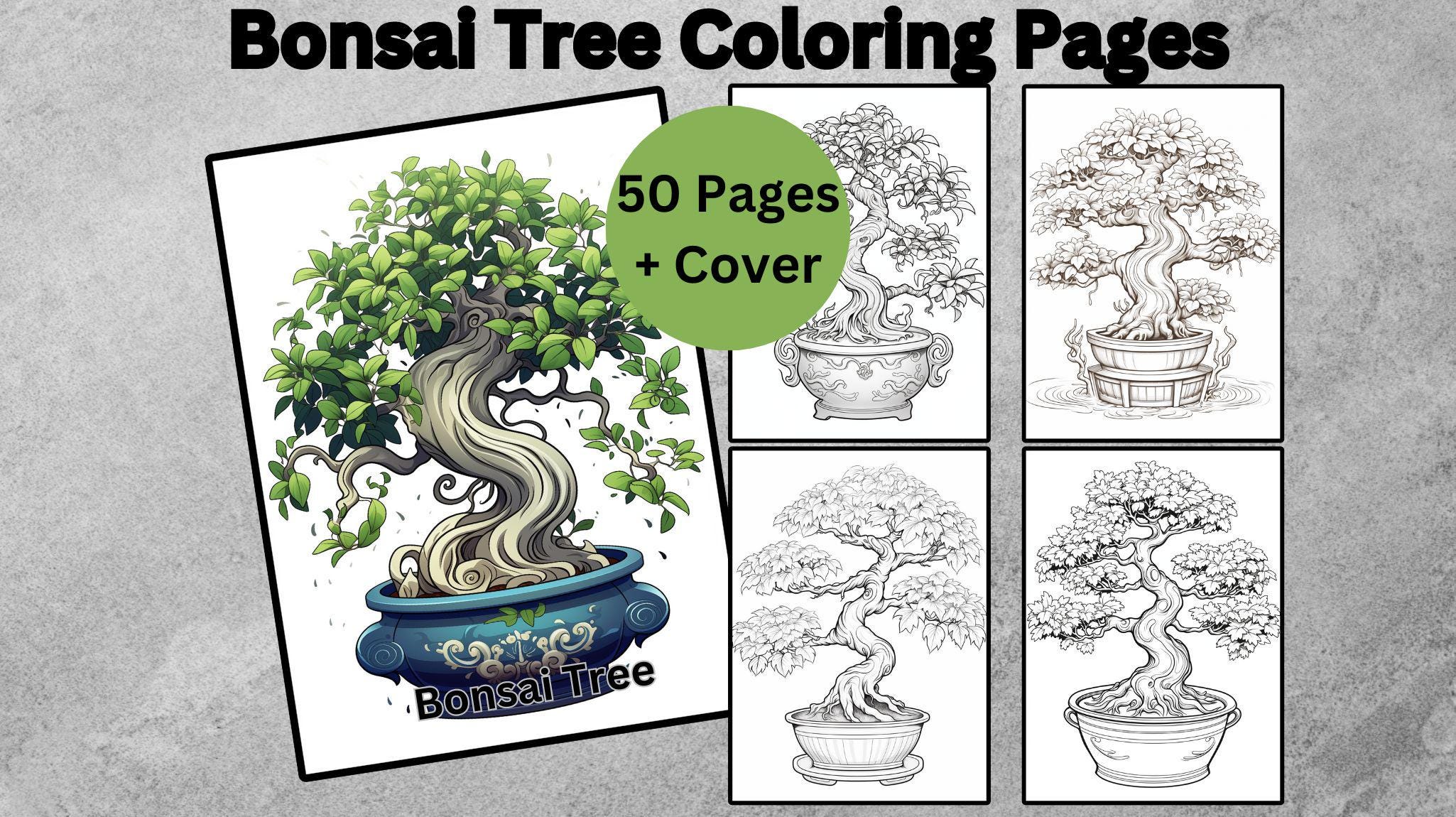 50 Bonsai Tree Coloring Pages, Bonsai in Pots Coloring Book for Kids ...