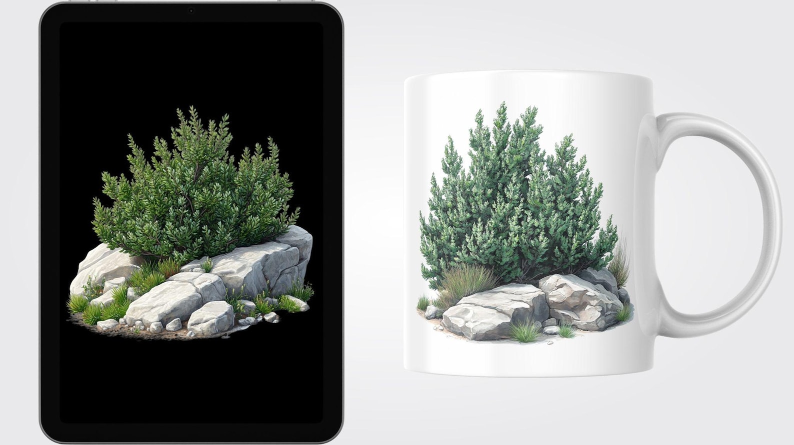 Dwarf Juniper Shrub Clipart PNG, Stone Clipart, 20 Green Botanical ...