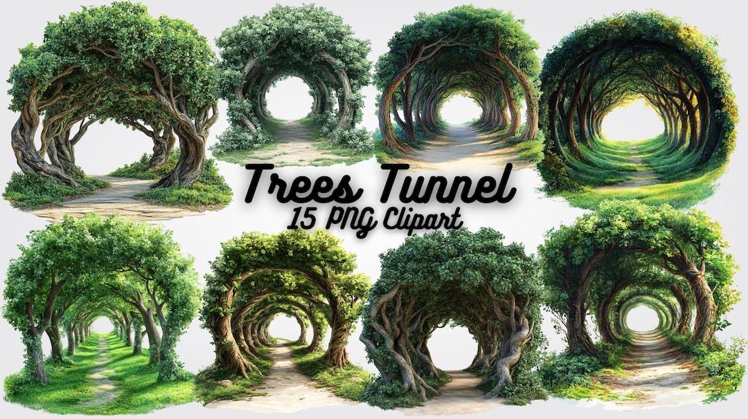 Tree Tunnel Clipart: 15 Forest Archway PNG Illustrations (digital ...