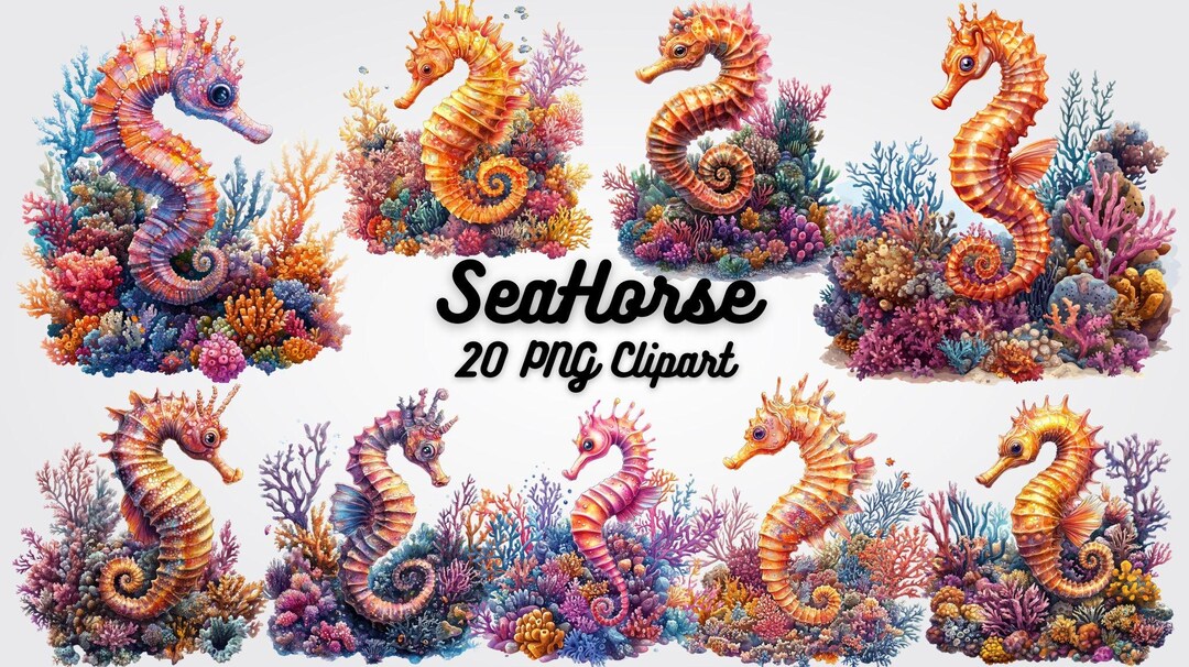 20 Seahorse Clipart Set, Exquisite Pngs Featuring Seahorses by Coral ...
