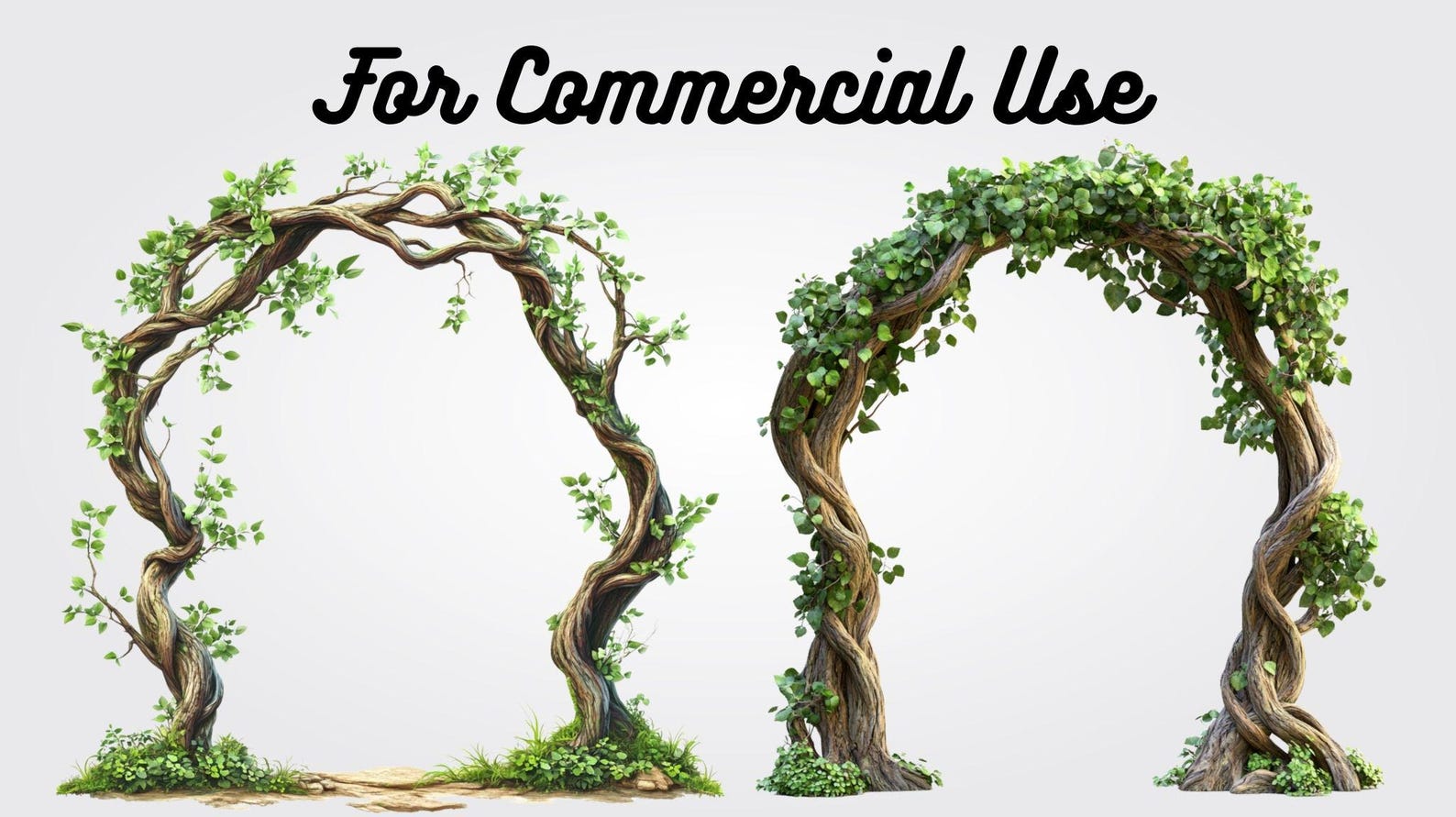 Tree Branch Archway Clipart: Woodland Forest PNG Images (digital ...