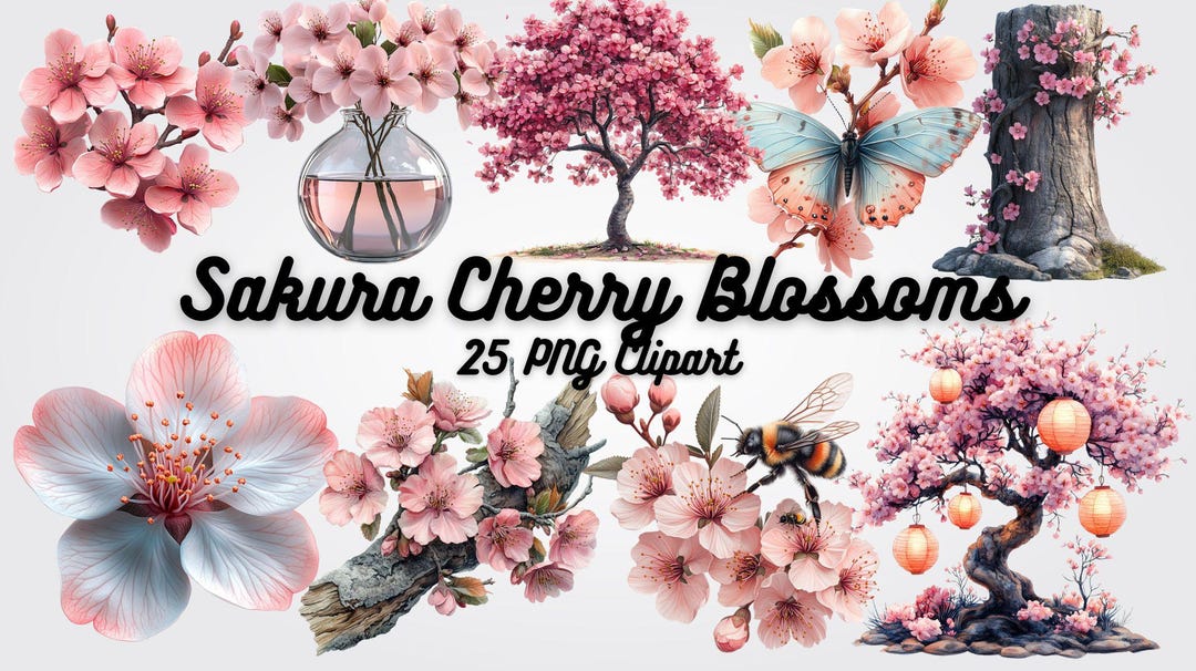 Sakura Cherry Blossom Clipart: 20 PNG Floral Images (digital Download ...