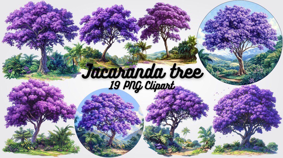 Jacaranda Tree Clipart: Elegant Purple-blue Blossom PNG Images (12x12 ...
