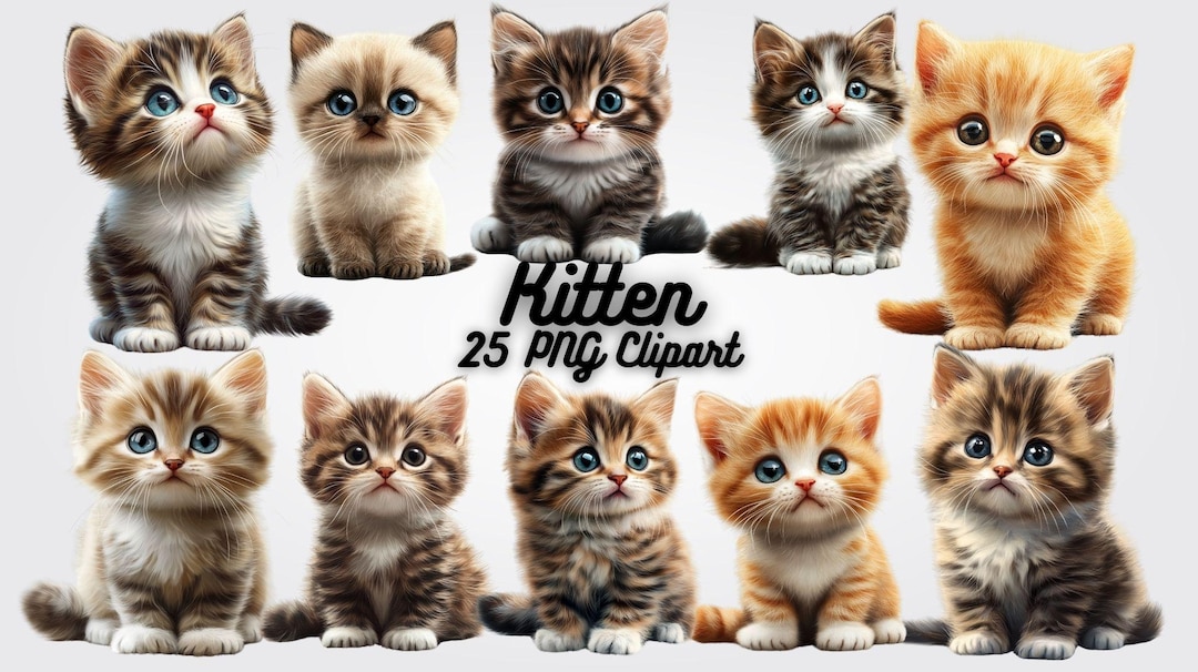Kitten Clipart, Cute Cat PNG, Fluffy Kitten Illustration, High-quality ...