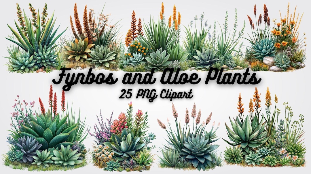 Fynbos and Aloe Plants Clipart, Fynbos Clipart, Aloe Plant Clipart ...