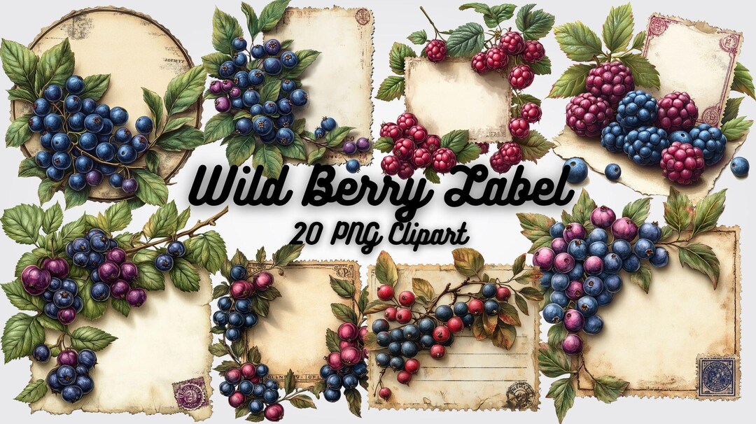 Vintage Berry Label Clipart PNG: Wild Fruit Jar Stickers (digital ...