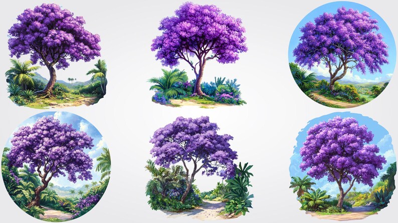 Jacaranda Tree Clipart: Elegant Purple-blue Blossom PNG Images (12x12 ...