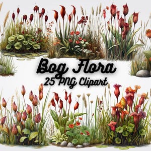 Bog Flora Clipart, Botanical PNG Digital Download, Wild Wetland Plants ...