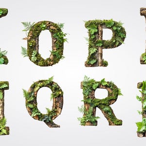 Rustic Wood Alphabet Clipart: 26 PNG Letter Graphics (digital Designs ...