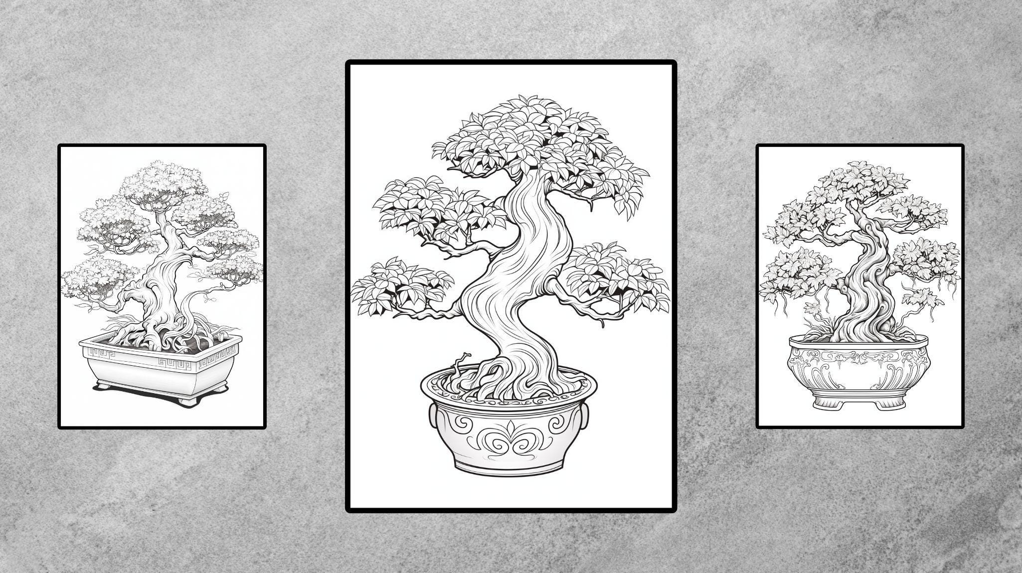 50 Bonsai Tree Coloring Pages, Bonsai in Pots Coloring Book for Kids ...