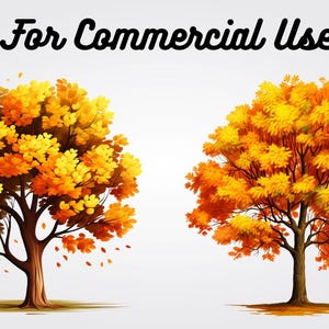 25 Autumn Trees Clipart, High-quality PNG Images ,perfect for Fall ...