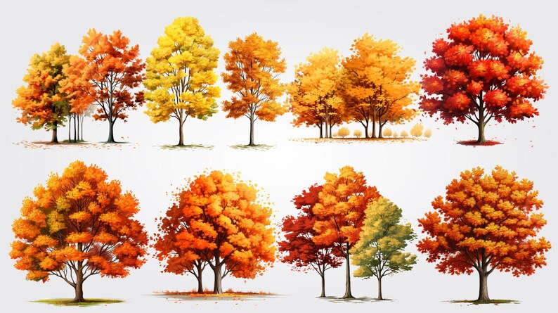 25 Autumn Trees Clipart, High-quality PNG Images ,perfect for Fall ...