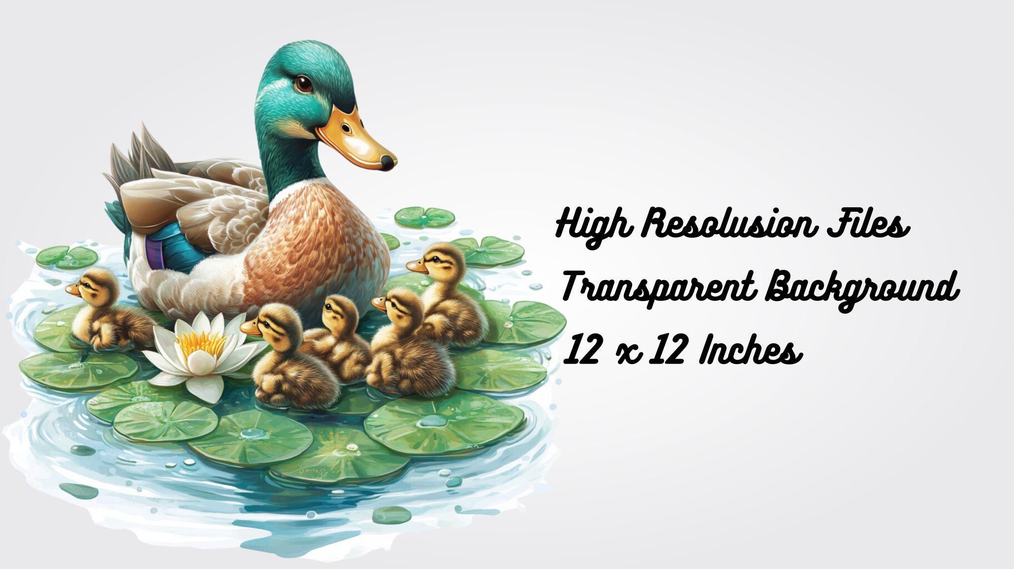 Mother Duck Clipart: Ducklings on Water, Nursery Art (PNG Digital ...