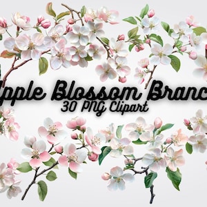 Apple Blossom Branch Clipart: Spring Floral PNG, Watercolor Flowers ...