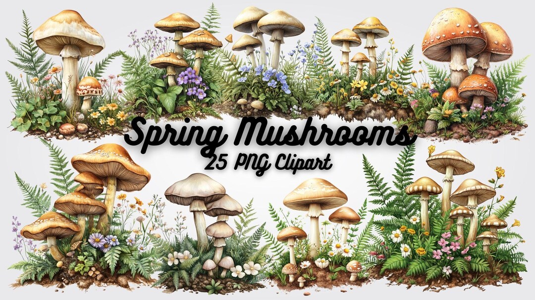Spring Mushroom Clipart: Wildflower PNG Illustrations (25 Images) - Etsy
