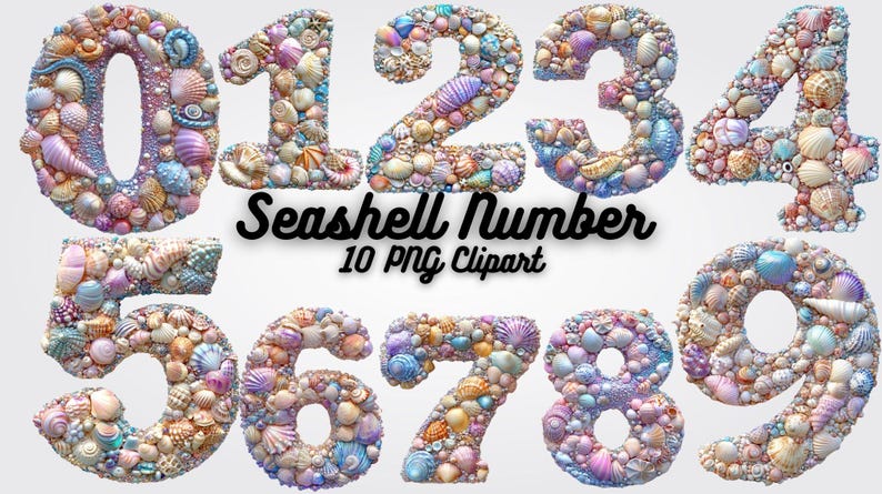 Seashell Number Clipart: Coastal Nautical PNG (digital Download) - Etsy