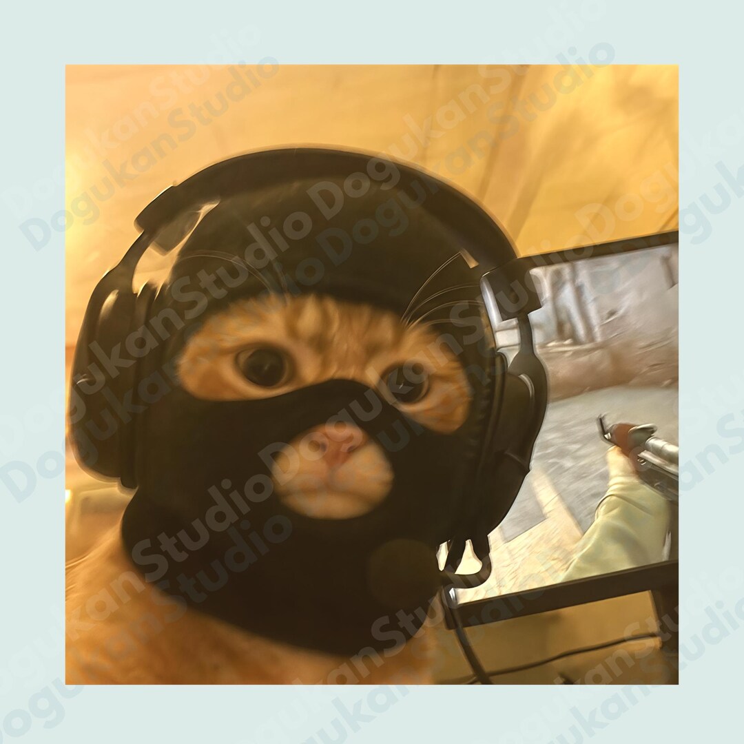 Funny Thief Cat PNG, Masked Kitty Meme PNG Design, Gen Z Humor Cat ...