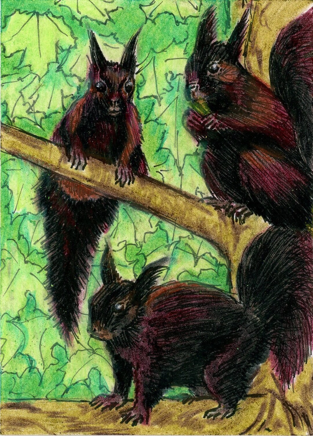 Original Art: "squirrel Posse", ACEO (art Card), Wildlife Colored ...