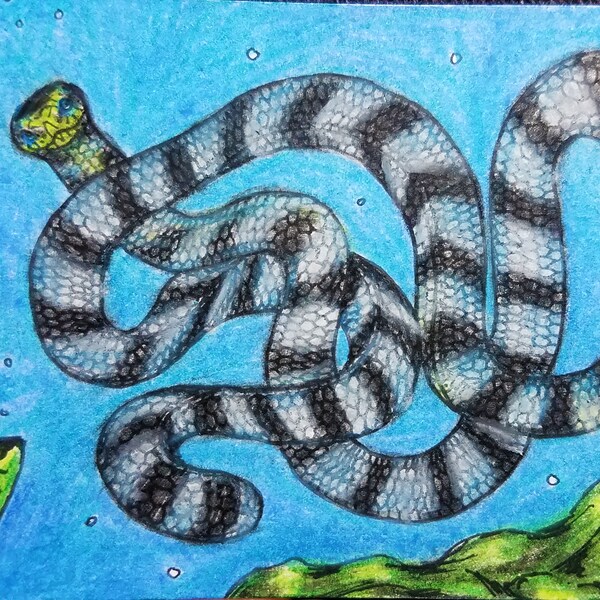 Snake Colored Pencil Drawing - Etsy