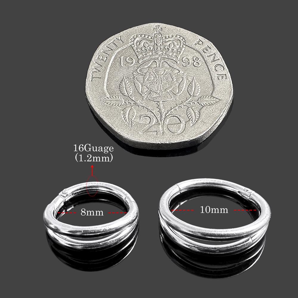 Double Hoop Segment Clicker Ring | 925 Sterling Silver | 16g(1.2mm ...