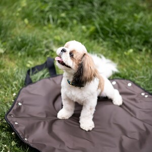 2in1 Dog Carrier Bag Dog Mat Pets Travel Bag Dog Purse Carrier - Etsy