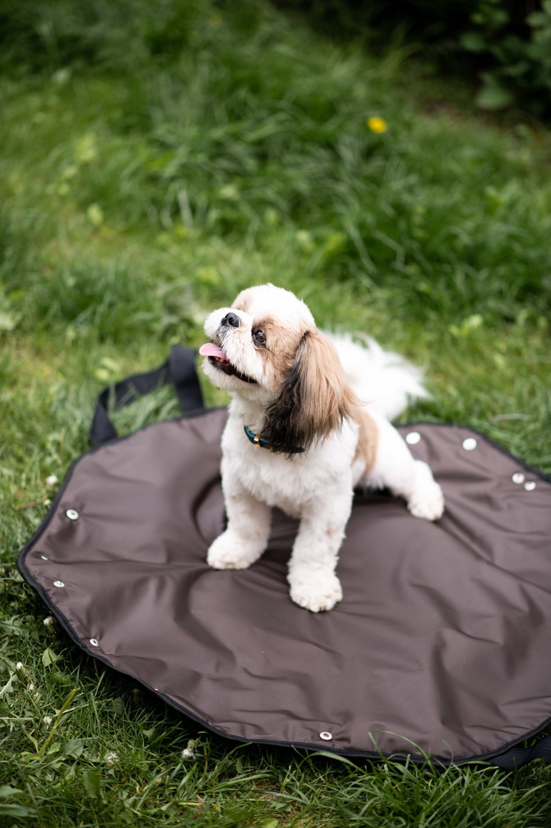 2in1 Dog Carrier Bag Dog Mat Pets Travel Bag Dog Purse Carrier - Etsy