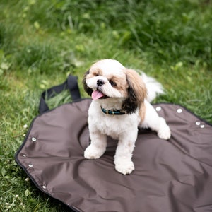 2in1 Dog Carrier Bag Dog Mat Pets Travel Bag Dog Purse Carrier - Etsy