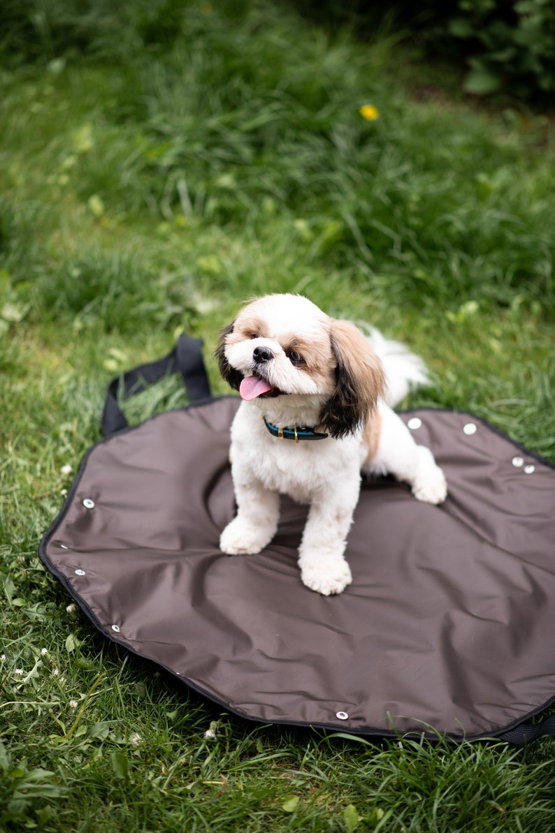 2in1 Dog Carrier Bag Dog Mat Pets Travel Bag Dog Purse Carrier - Etsy