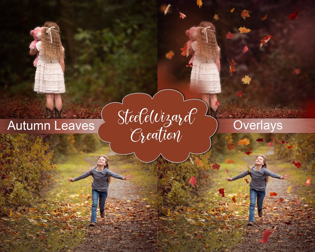 Autumn Tree Leaf Overlays, PNG Falling Leaves Overlays, Fall Tree ...
