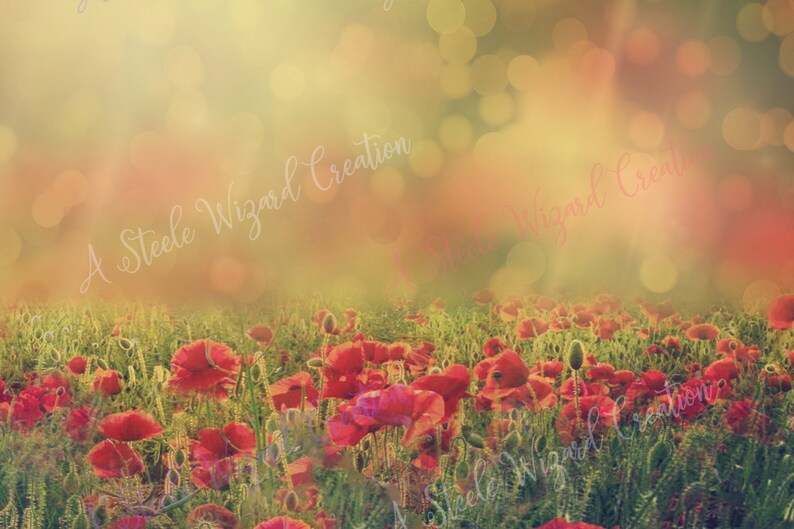 Digital Background Spring Backdrop Poppy Field Flowers - Etsy