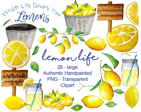 Watercolor Lemon Clipart Summer Lemons Hand Painted - Etsy